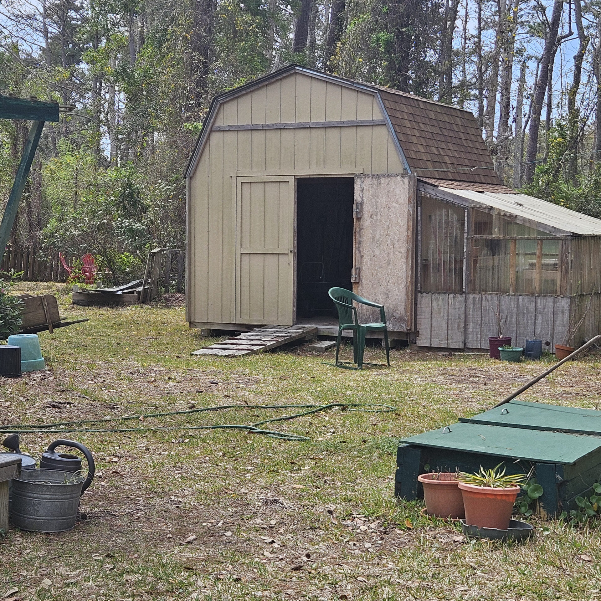 Our Property Is Now a Coastal Native Plants Adventure - North Carolina Native Plant Society