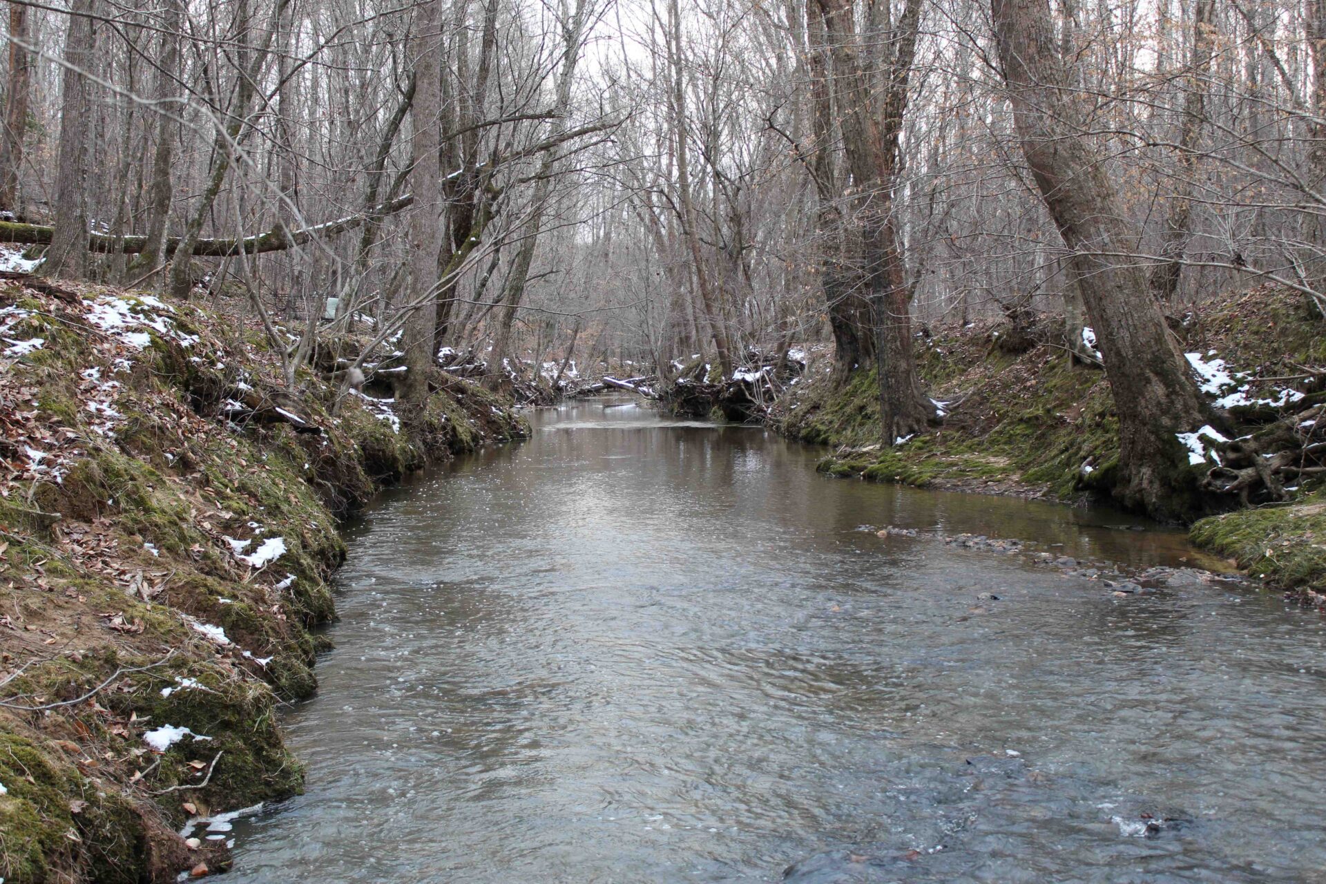 Red Bud Conservation is Newest Certified Native Plant Habitat - North ...