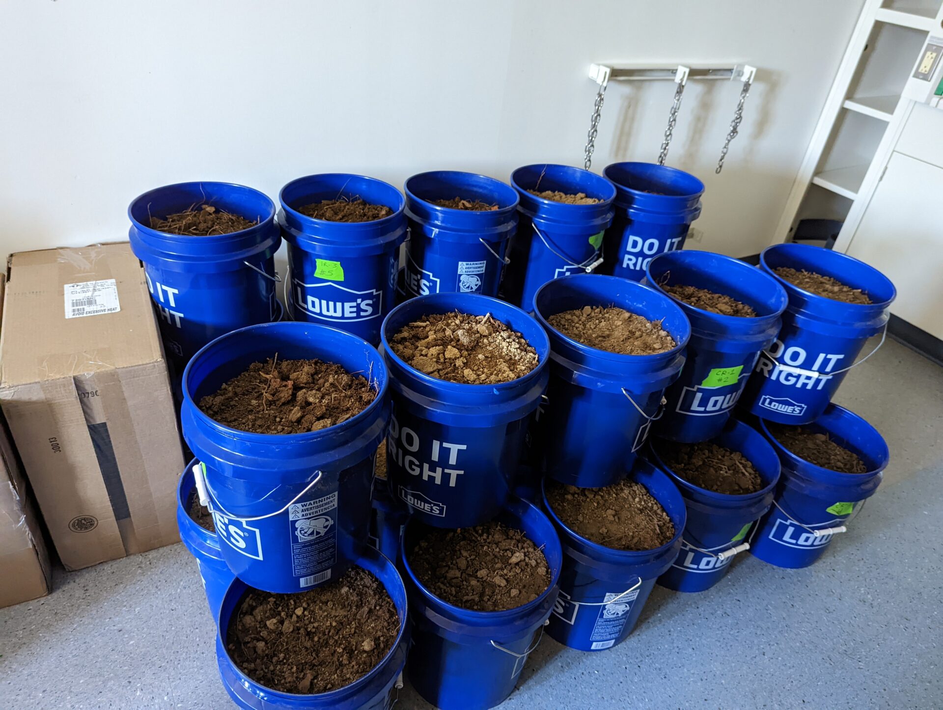 More Prairie Habitats, Please - North Carolina Native Plant Society