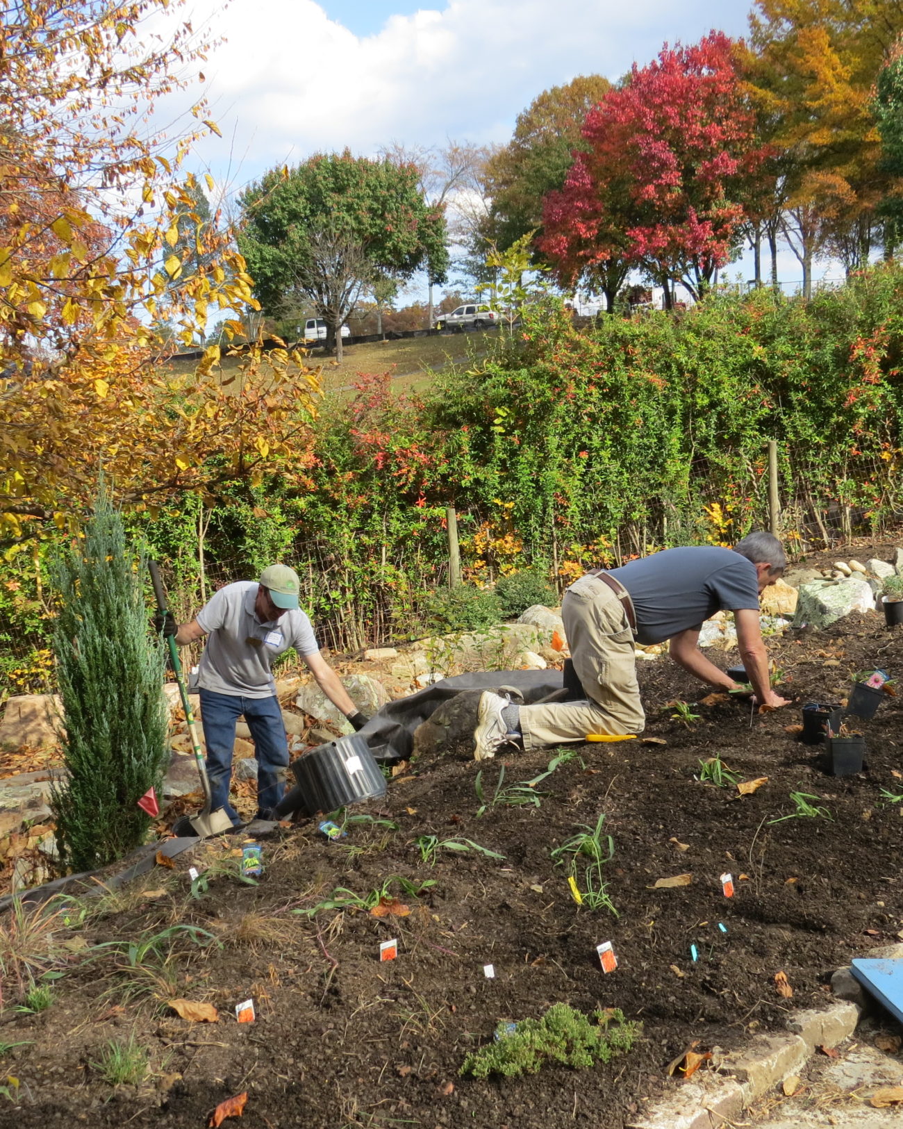 Gardening with Native Plants - North Carolina Native Plant Society