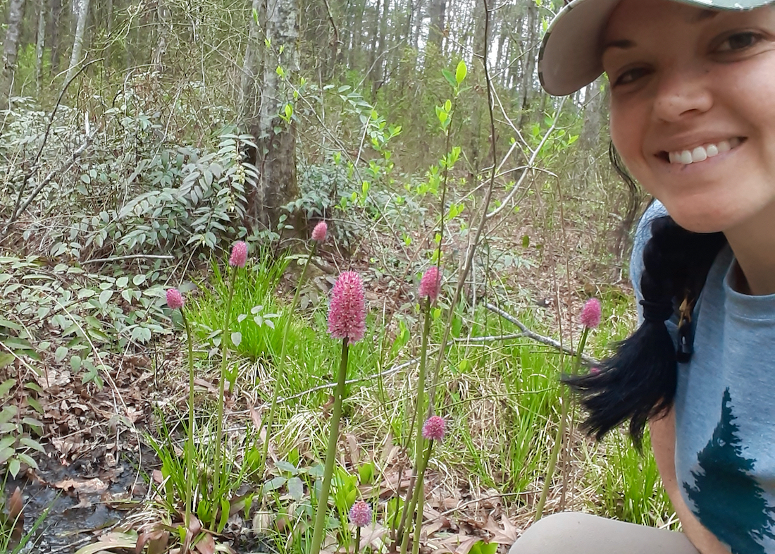 Shinn Fund Recipients - North Carolina Native Plant Society