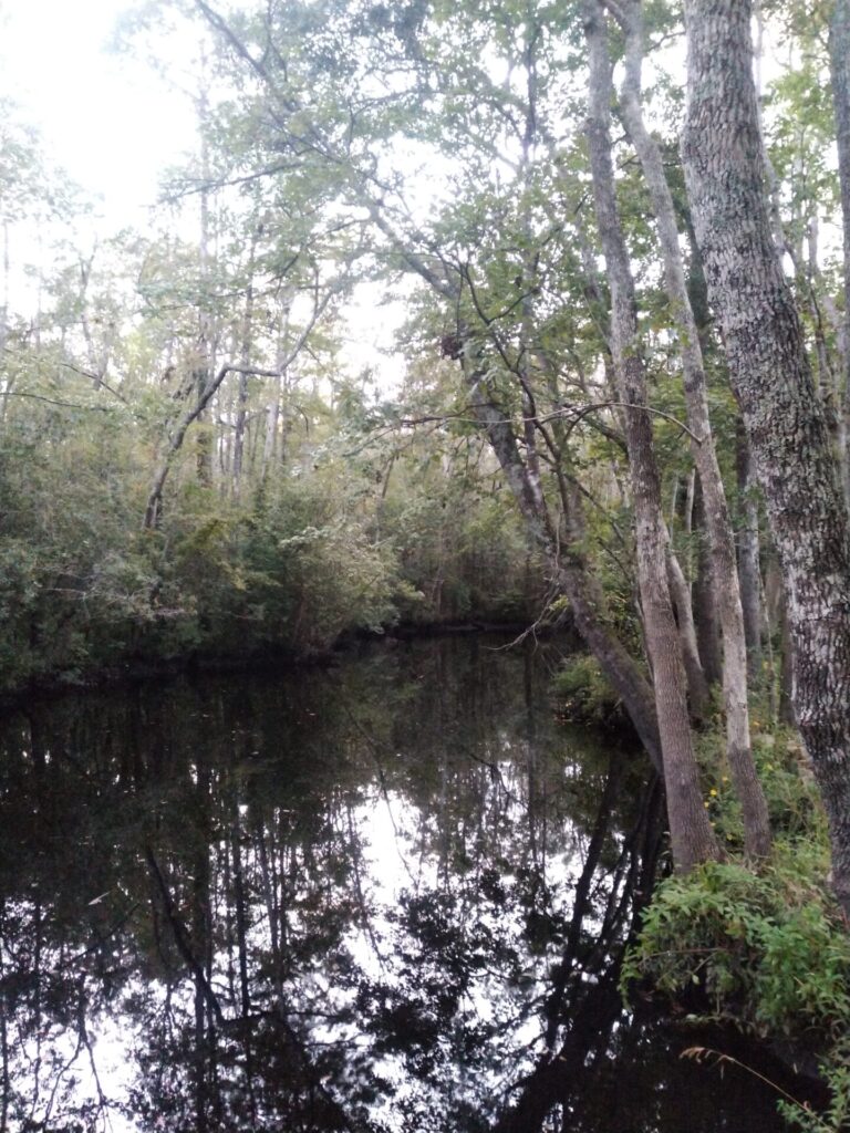 Coming Together as a Community Protects our Ecosystem - North Carolina ...