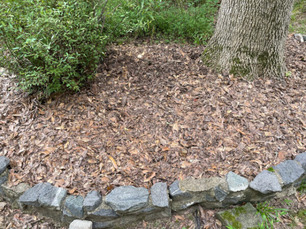 Controlling Japanese Stiltgrass - North Carolina Native Plant Society
