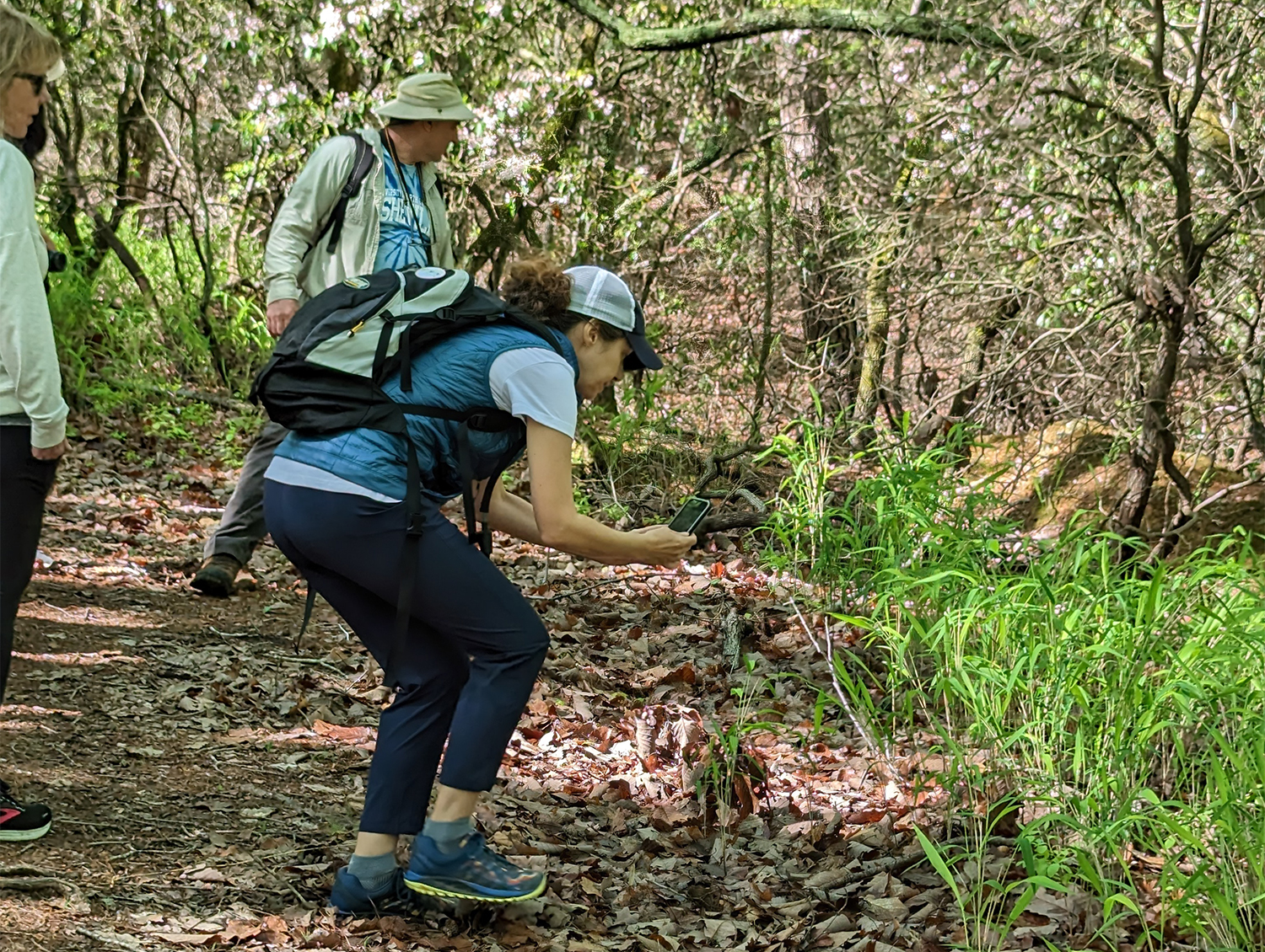 Spring Botanizing in Morrow Mountains - North Carolina Native Plant Society
