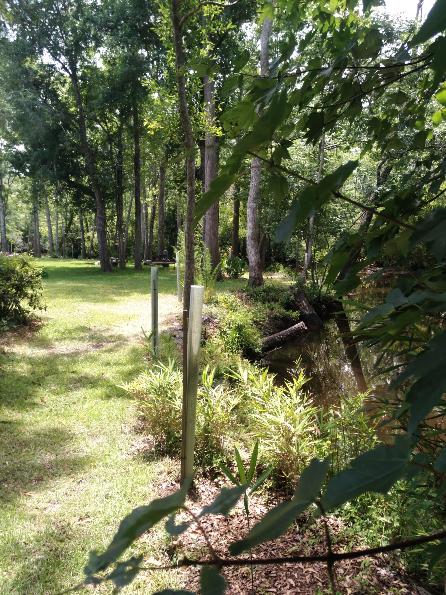 Coming Together as a Community Protects our Ecosystem - North Carolina ...