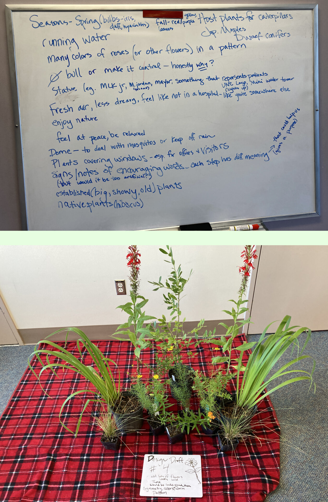 Wonder Connection, Where Plants Nurture Patients - North Carolina ...