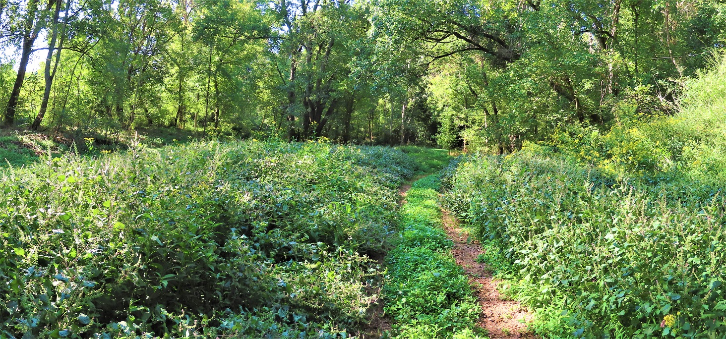 We Come Together to Protect the Land - North Carolina Native Plant Society