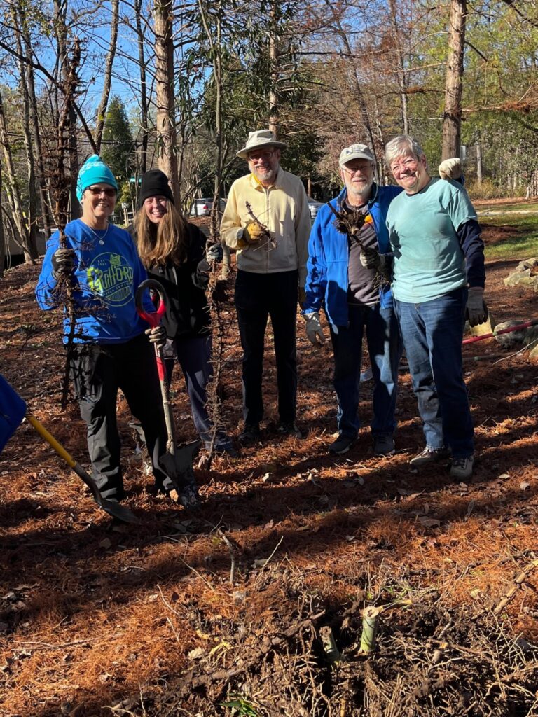 Bog Garden Invasive Plant Removal - North Carolina Native Plant Society