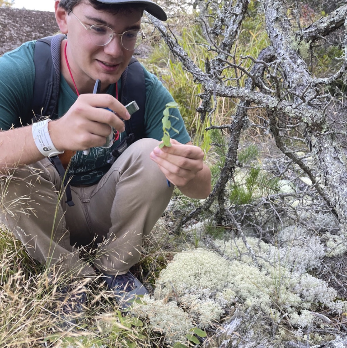 Shinn Fund Recipients - North Carolina Native Plant Society