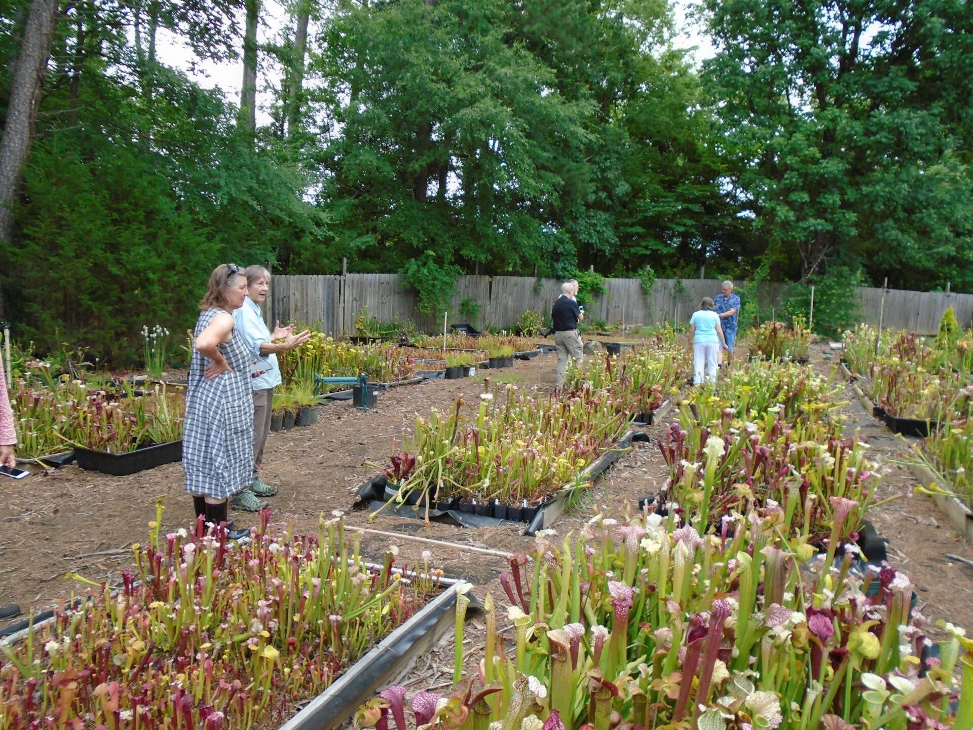 Home Garden Tour with Dan Walker - North Carolina Native Plant Society