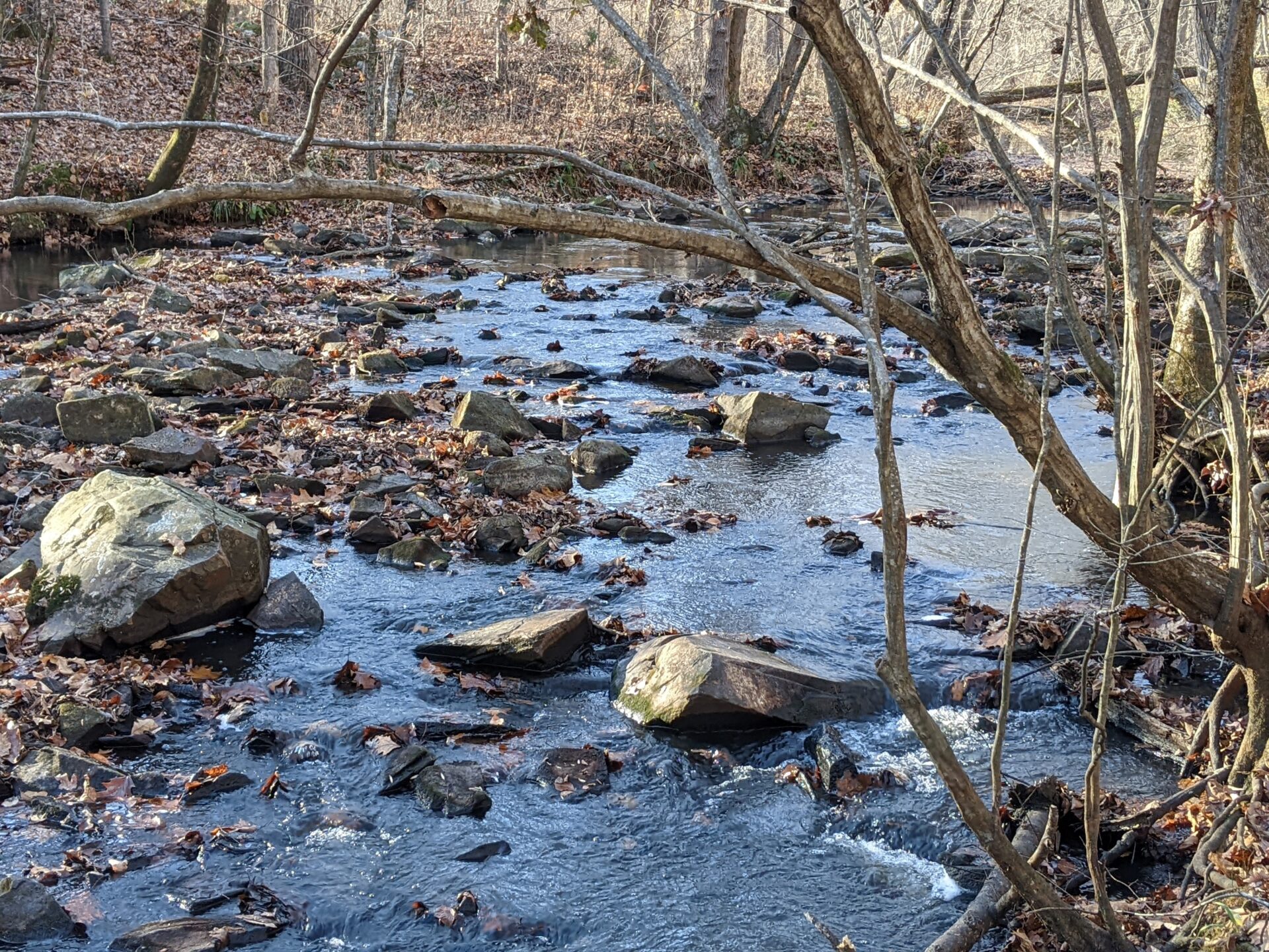2021-12-7 Confluence of the Eno River Informal Hike - North Carolina ...