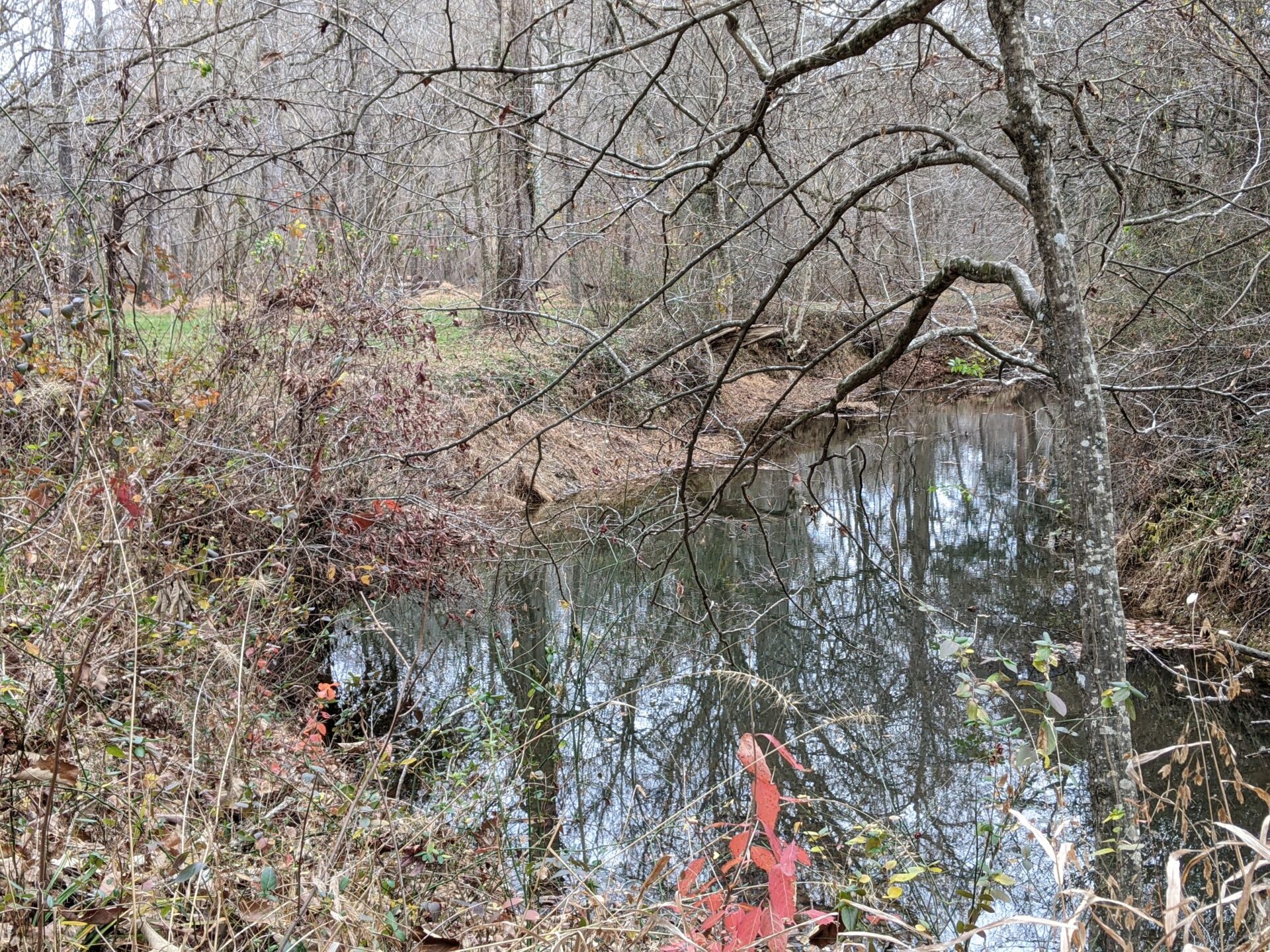2021-12-7 Confluence of the Eno River Informal Hike - North Carolina ...