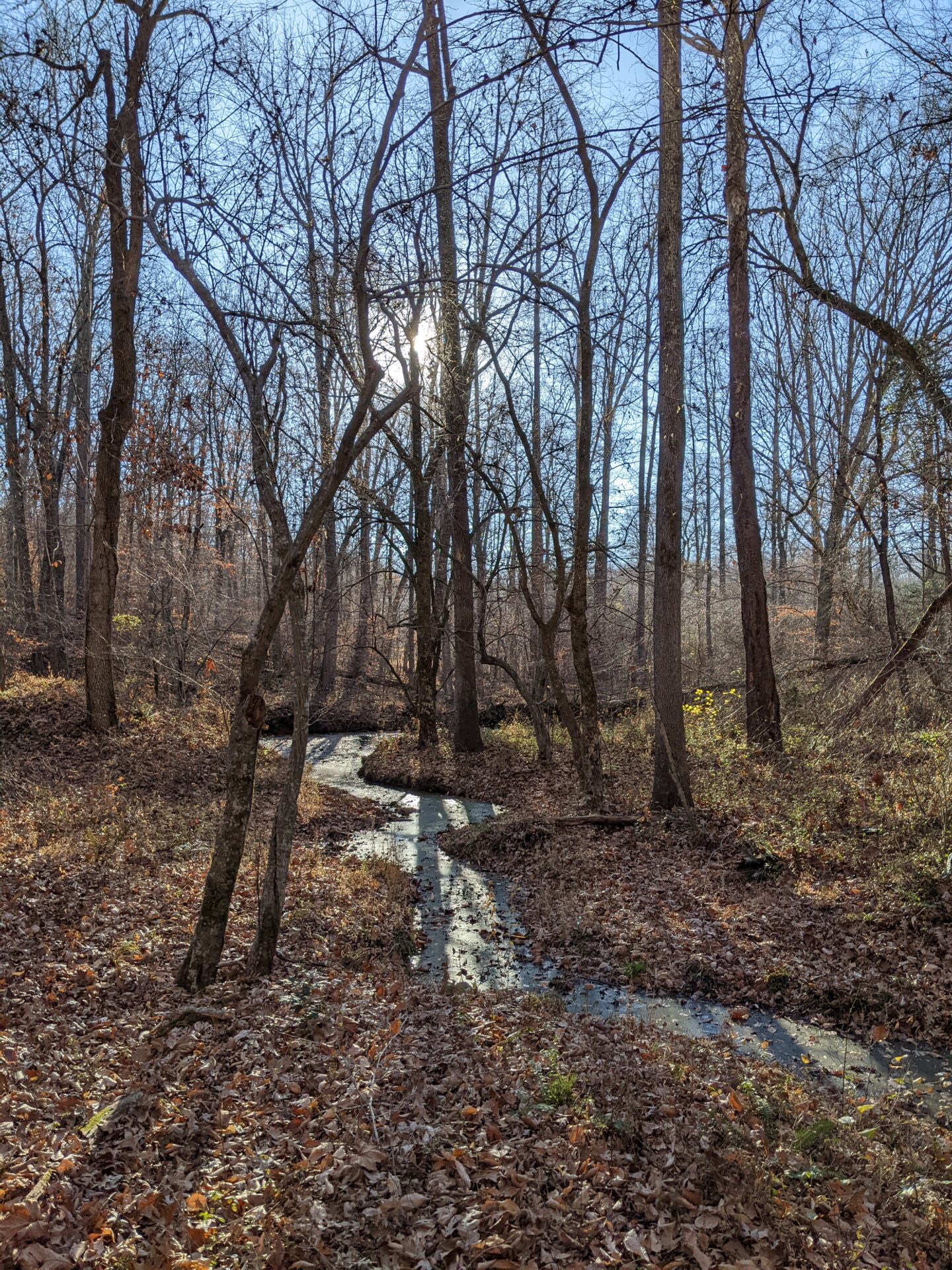 2021-12-7 Confluence of the Eno River Informal Hike - North Carolina ...