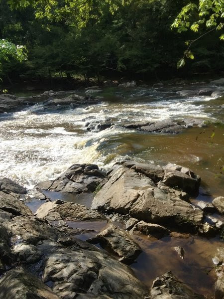 Eno River State Park field trip - Buckquarter Creek and Holden's Mill ...