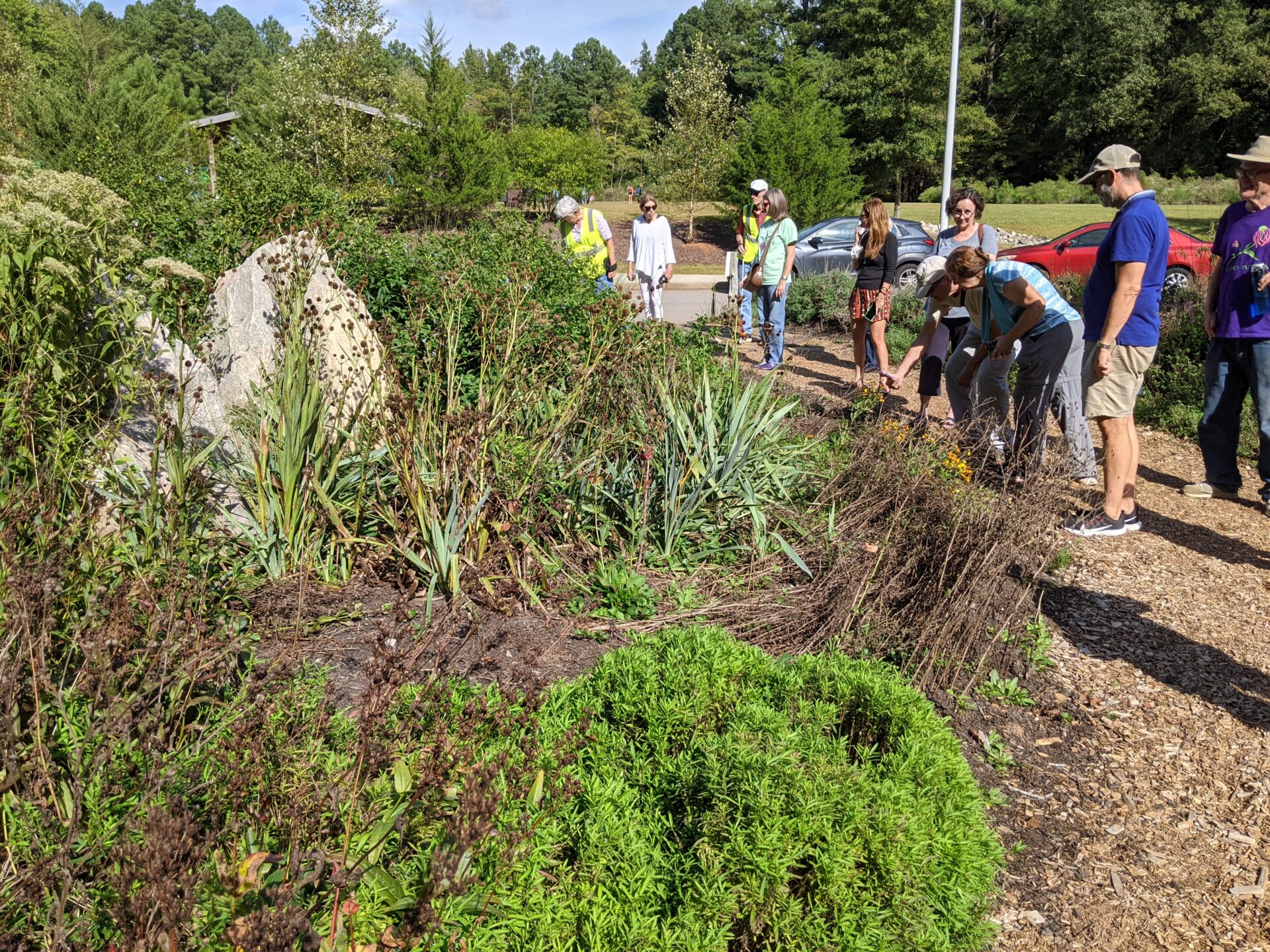 21/10/03 Forest Ridge Park - North Carolina Native Plant Society