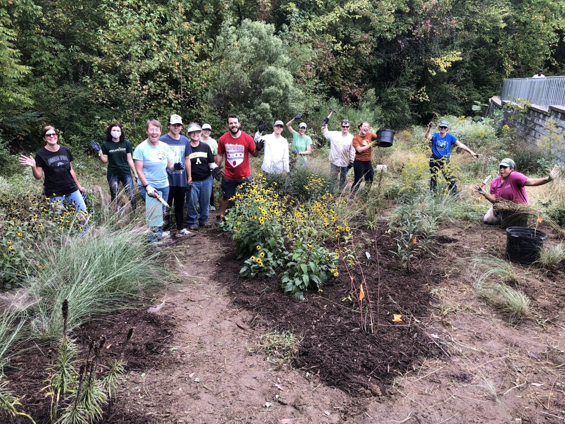 I've Found My People and My Plants! - North Carolina Native Plant Society