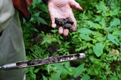 North Carolina’s Wonderful Wetlands – Rooted in Plants - North Carolina ...