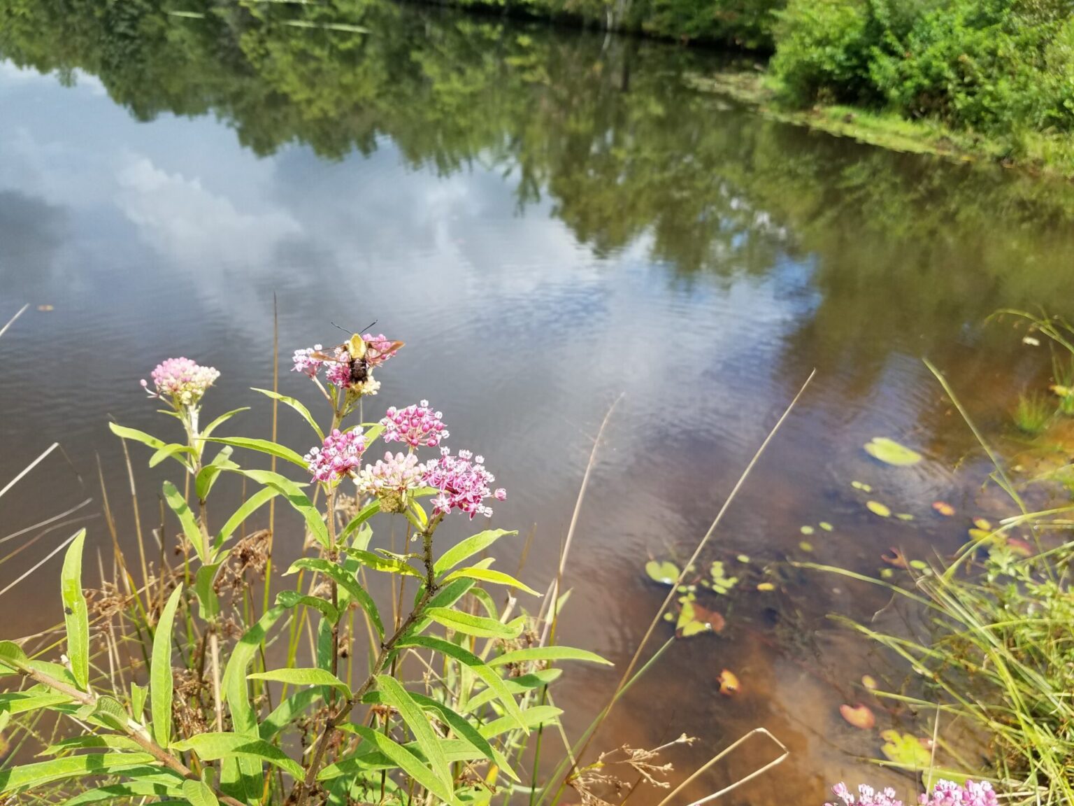 Wildlife Conservation Land Program: Property Tax Deferment to Benefit ...