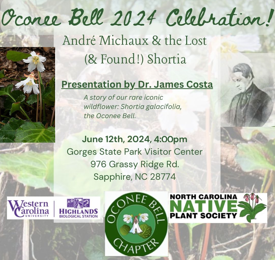 A story of our rare wildflower, Shortia galacifolia (the Oconee bell ...