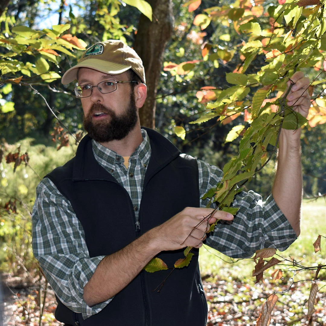 If You Plant It, They Will Come: How Native Plants Benefit Wildlife ...