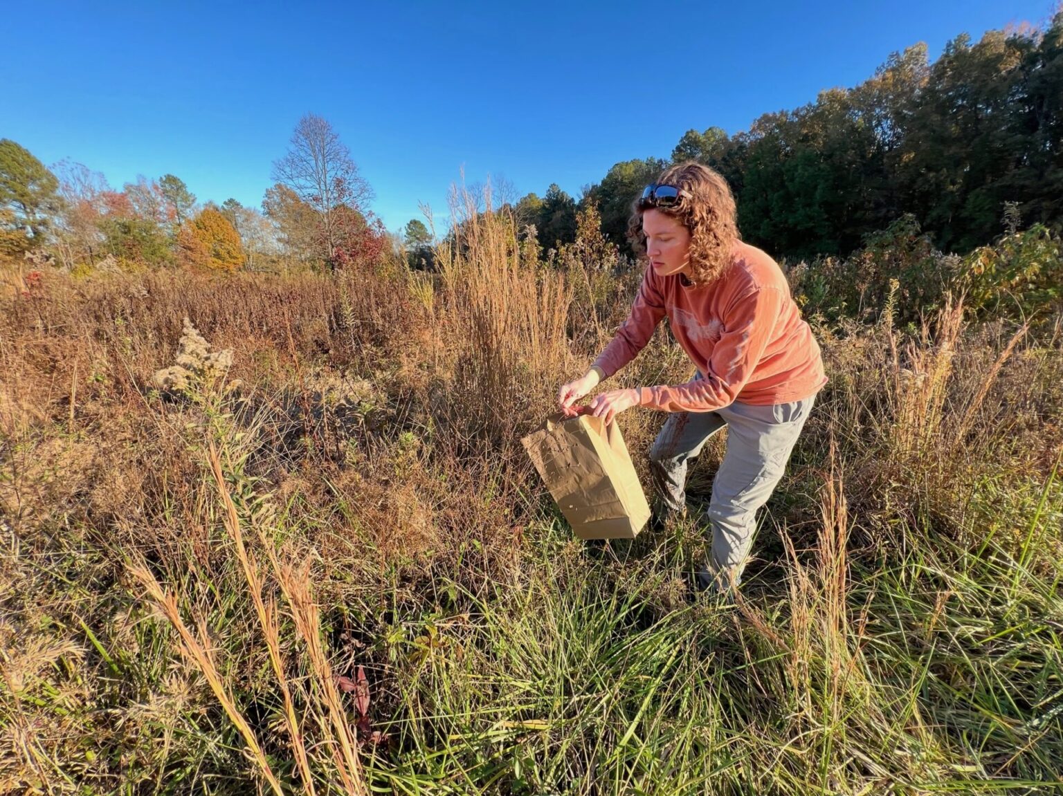 Thank you for your contributions to the NC Native Plant Society - North ...