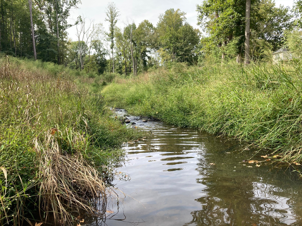 Stream Restoration & Plant Communities - North Carolina Native Plant ...