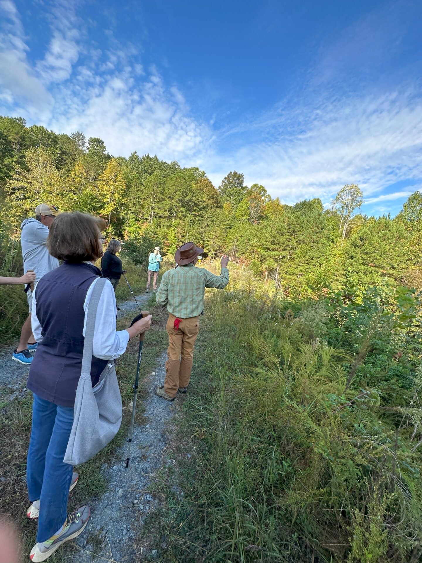 Wildflower Ramble at Strieby Wood Nature Preserve - North Carolina ...