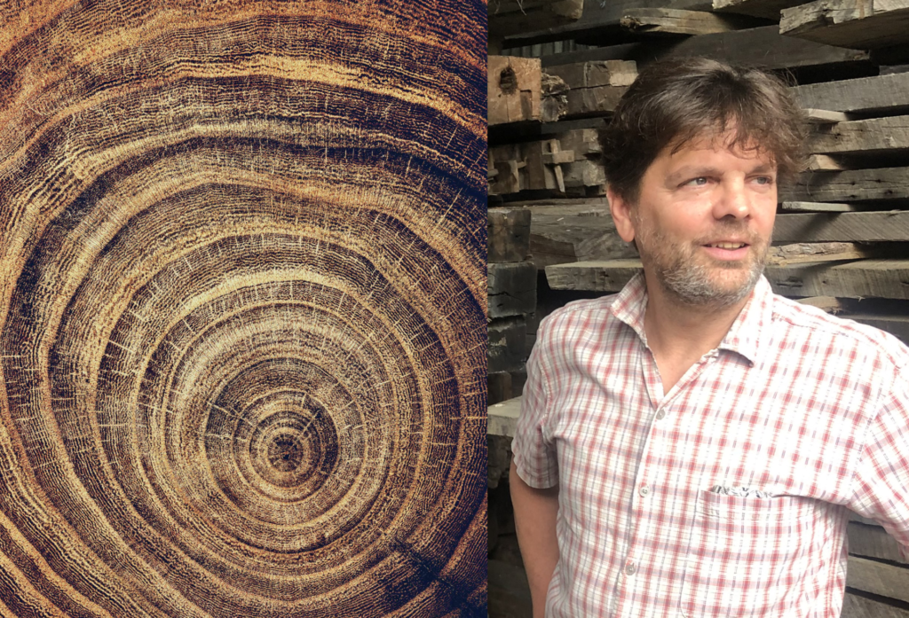 Learning the Language of the Trees - Workshop w/ Dr. Neil Pederson ...