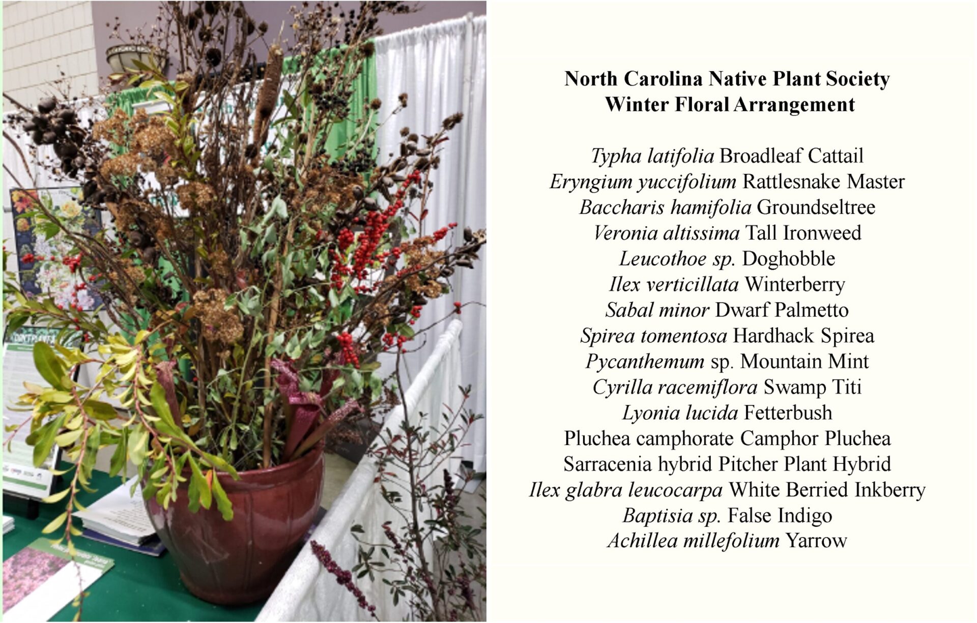 We Connect at Green & Growin’ (again) - North Carolina Native Plant Society