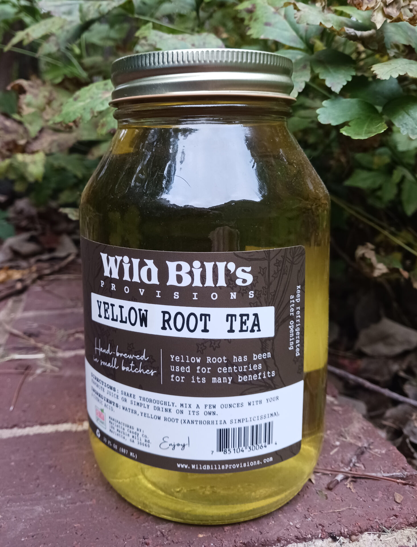 Yellowroot: An Underused Wetland Plant - North Carolina Native Plant ...