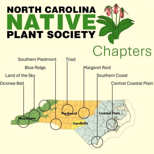 NCNPS 2024 Summer Edition - North Carolina Native Plant Society