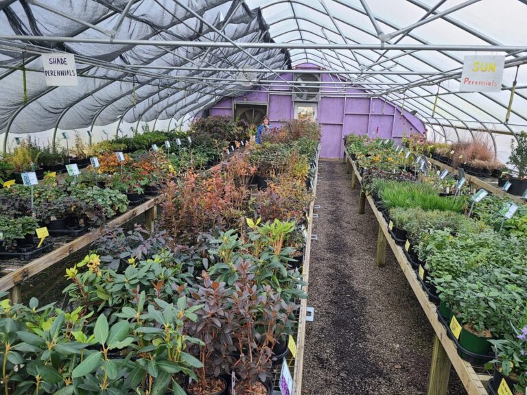 Native Plant Nurseries - North Carolina Native Plant Society