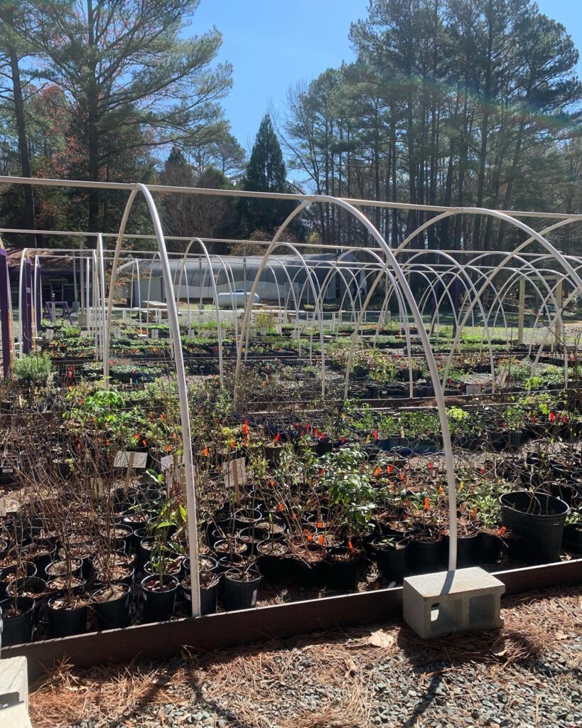 Native Plant Nurseries - North Carolina Native Plant Society
