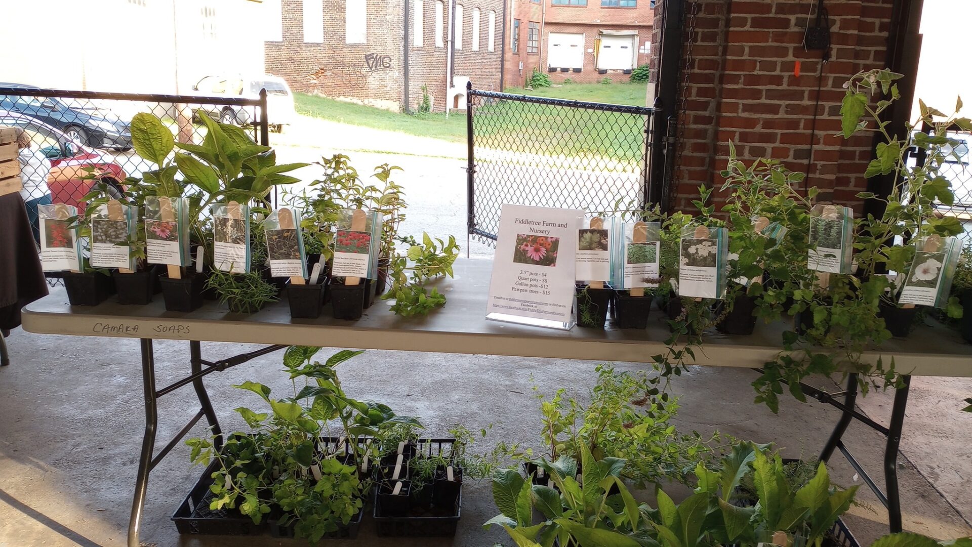 Native Plant Nurseries - North Carolina Native Plant Society