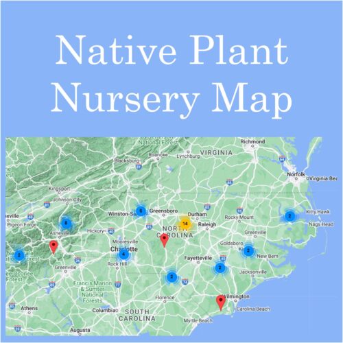A Nursery View of the NC Native Plants Act - North Carolina Native ...