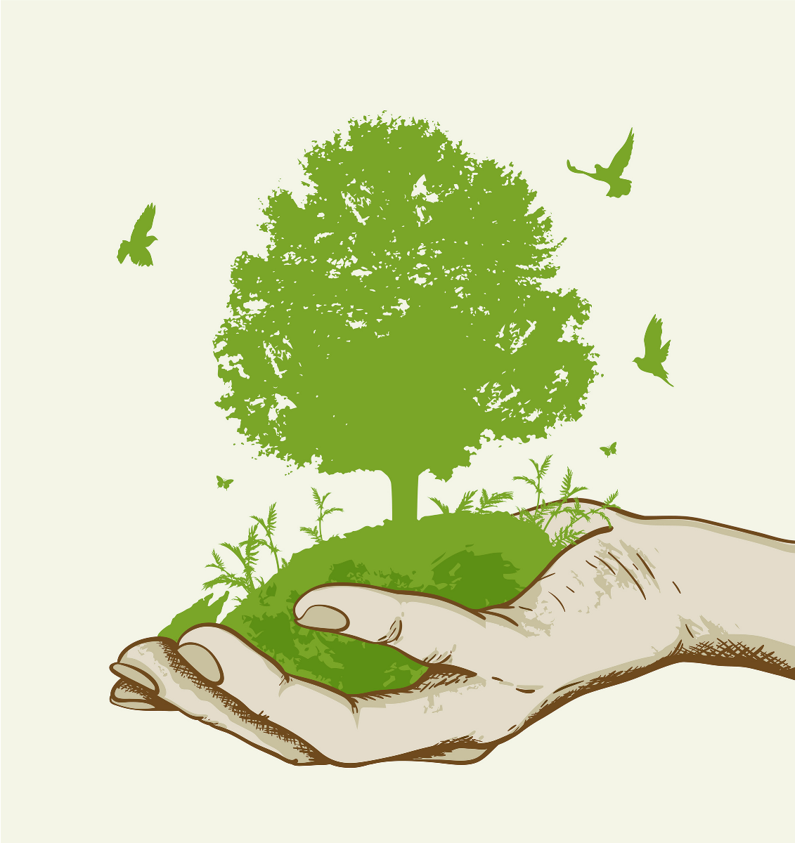 How to Give Your Tree a Long and Happy Life - North Carolina Native ...